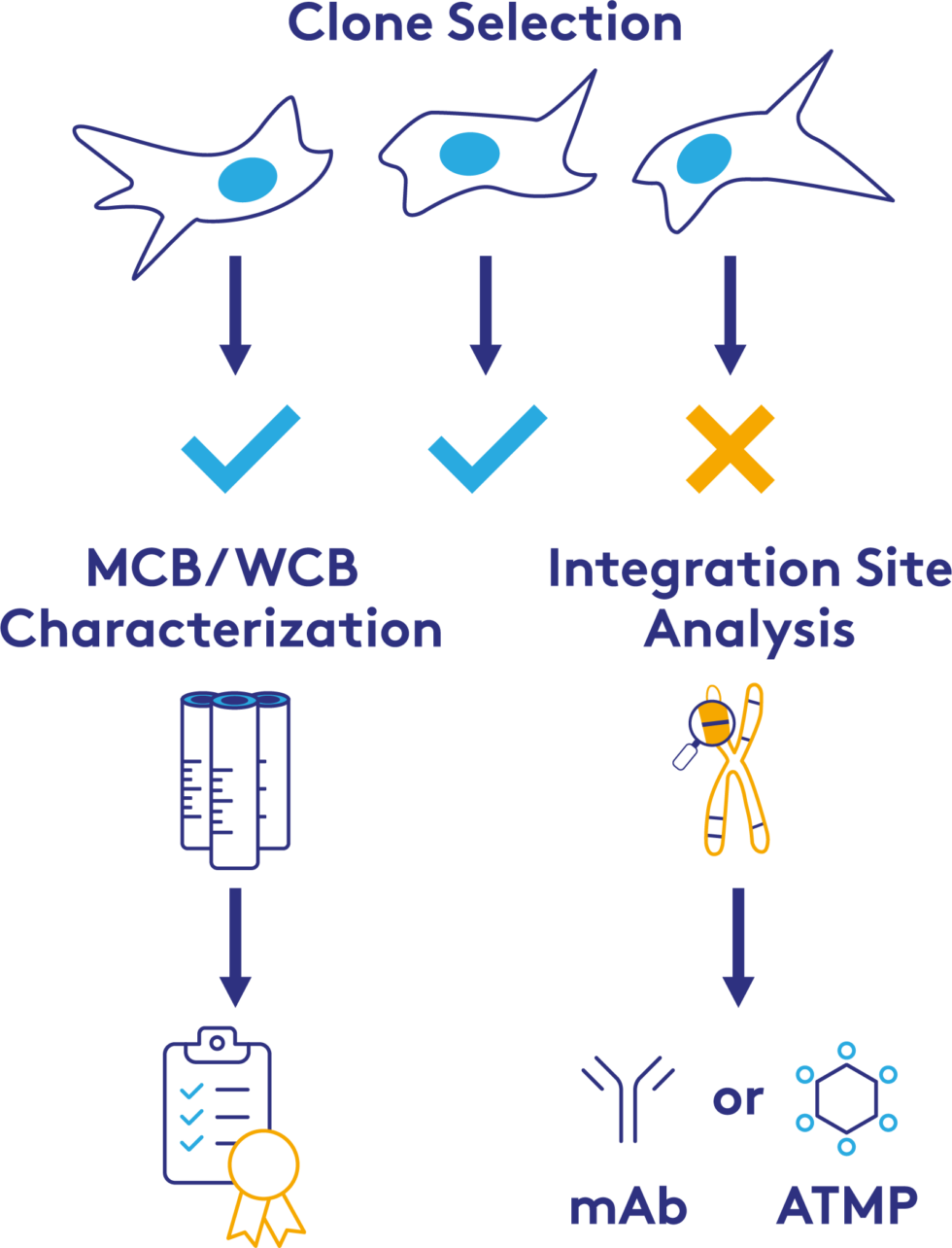 Cell Line Characterization Pathoquest