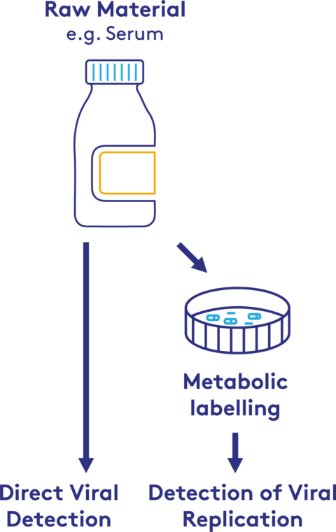 Quality Control Testing for Biologics Raw Materials