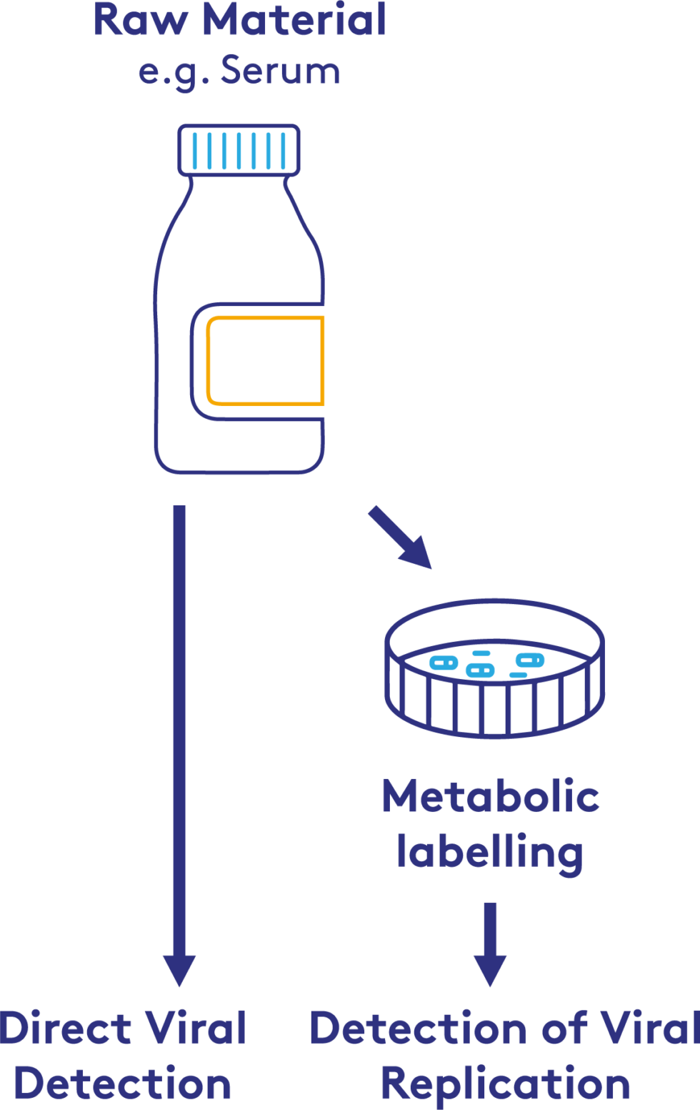 Quality Control Testing for Biologics Raw Materials