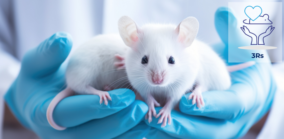 Transitioning from MAP/HAP/RAP to iDTECT® Transcriptome Assay