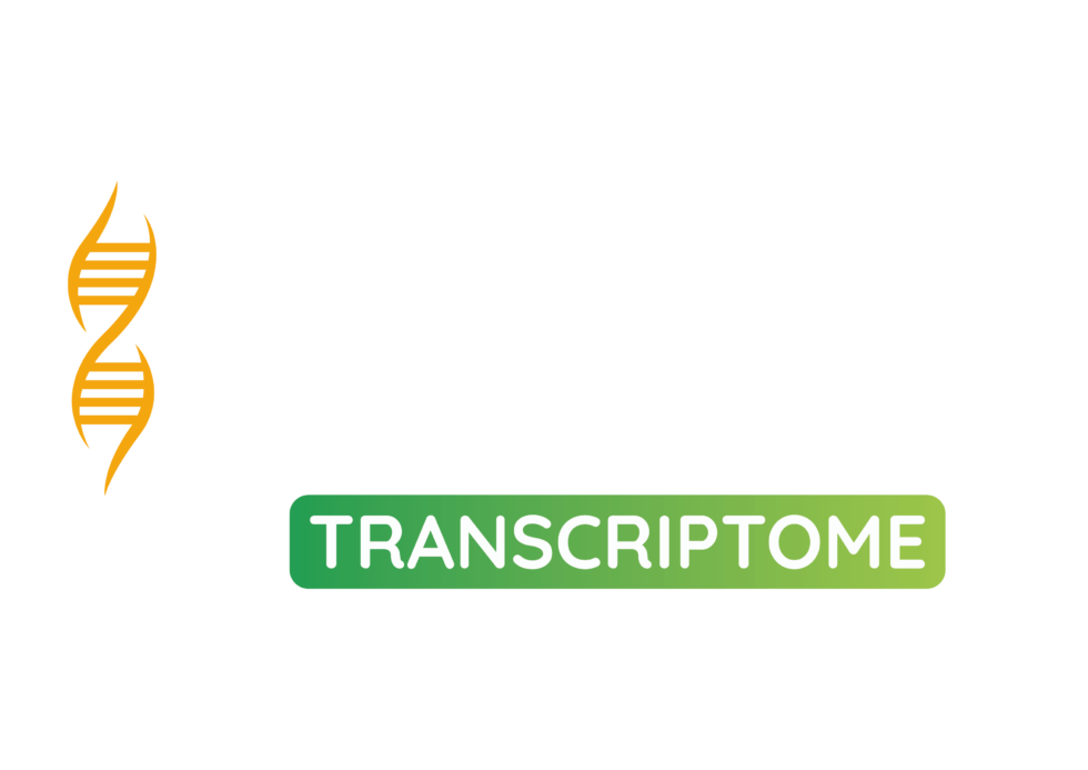 Quality Control Testing for Adventitious virus